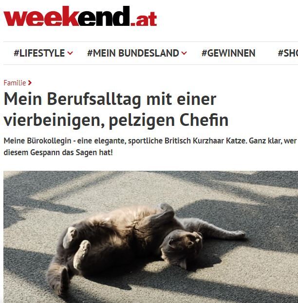 Mein Berufsalltag mit einer ganz besonderen Chefin :: Trubka GmbH